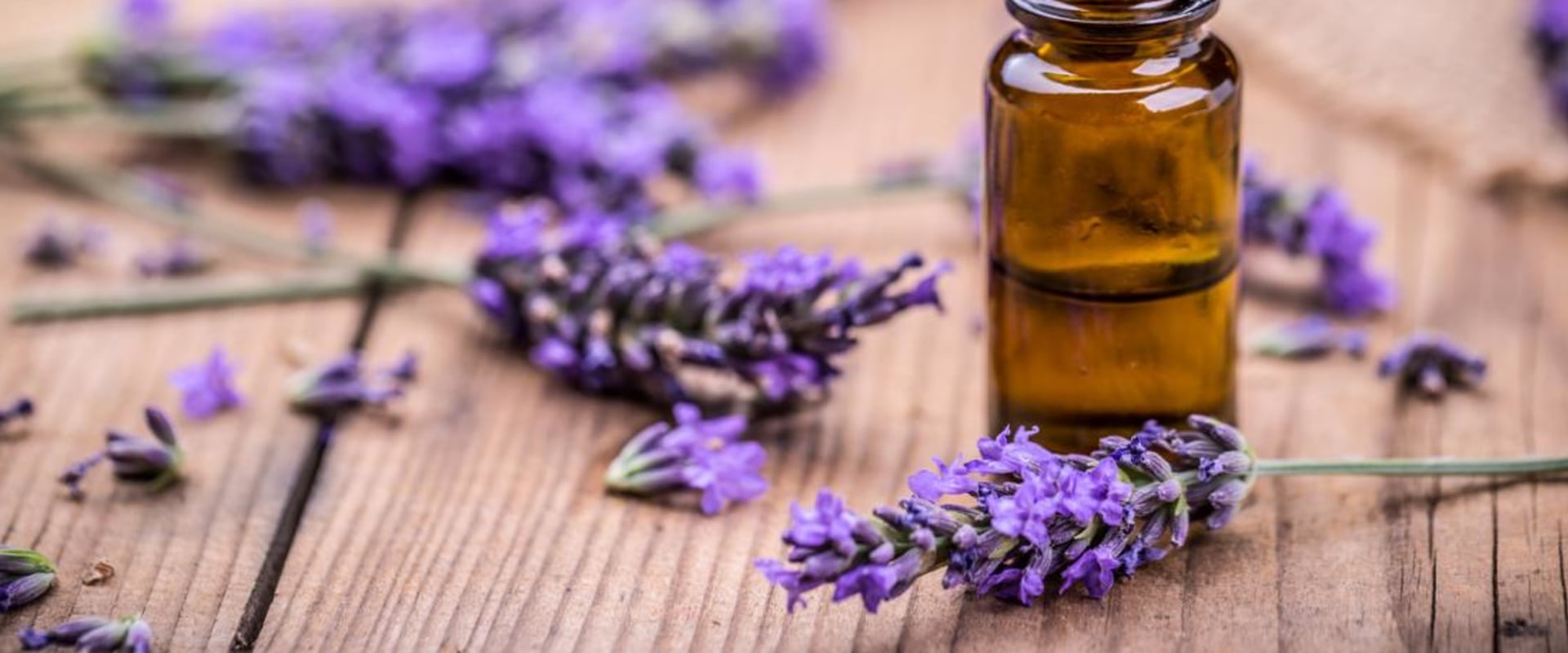 Lavender Medicinal Uses for Natural Health Solutions
